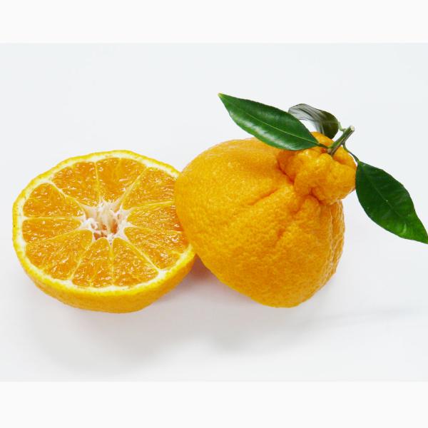 広島産 自然熟葉付「デコポン」 3kg【3月中旬-3月下旬頃お届け】 野菜 果物 フルーツ ディノス dinos 人気 おしゃれ“自然熟（じねんじゅく）”とは…生産者が美味しい果実を皆様にお届けするために、栽培から出荷まで　こだわり抜いた“...