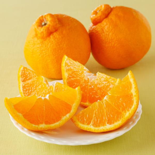 鹿児島産 「大将季」 2.8kg【1月中旬-2月中旬頃お届け】 野菜 果物 フルーツ ディノス dinos 人気 おしゃれ「大将季」は鹿児島県オリジナルの新品種不知火（しらぬい）です。果皮は赤みが強くオレンジ色をしています。果肉も赤みが濃い...