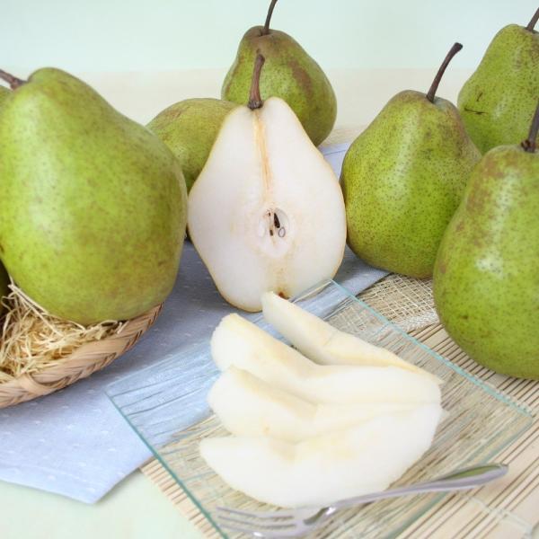 山形産 「シルバーベル」 3kg【12月上旬-1月下旬頃お届け】 野菜 果物 フルーツ ディノス dinos 人気 おしゃれラ・フランスの自然交配から生まれた大玉の西洋なしです。聖夜に食べ頃になることやクリスマスベルに似てることからこの名前...