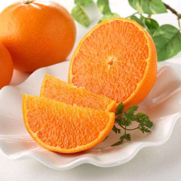 愛媛・西宇和産 ワケあり「せとか」 4.8kg 【3月上旬-下旬頃お届け】 野菜 果物 フルーツ ディノス dinos 人気 おしゃれ■「柑橘の大トロ」とも称される、高級柑橘「せとか」とろけるような滑らかな舌触りと濃厚な甘みが特徴の柑橘です...