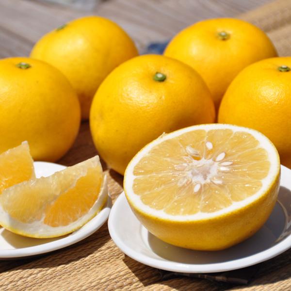 宮崎産 グレープフルーツ 4kg 【4月下旬-5月上旬頃お届け】 野菜 果物 フルーツ ディノス dinos 人気 おしゃれ■希少な国産グレープフルーツ日本では、まだ珍しく非常に希少な国産のグレープフルーツです。味わいが濃く、まろやかな酸味...