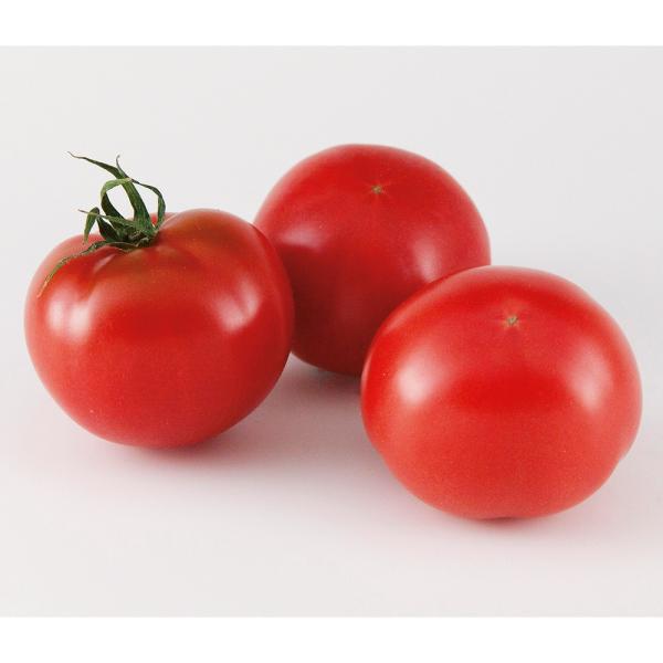 高知産 池一菜果園のフルーツトマト 1kg 【2月上旬-5月下旬頃お届け】 野菜 果物 ディノス dinos 人気 おしゃれ土づくりから収穫まで手間を惜しまず育てられた池さんのトマトは、甘みと酸味のバランスが絶妙で、濃厚な味と香りが特徴です...