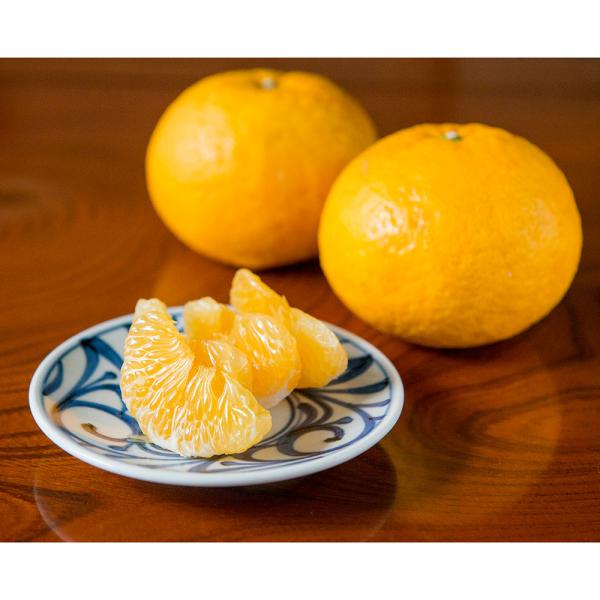 愛媛産 無茶々園 有機「甘夏」 4kg 【3月下旬頃-お届け】 野菜 果物 フルーツ ディノス dinos 人気 おしゃれ■有機JAS認証「甘夏」ほろ苦く甘酸っぱい風味は甘夏ならでは。厚い果皮はマーマレードやピールに加工しても◎。■栽培期間...