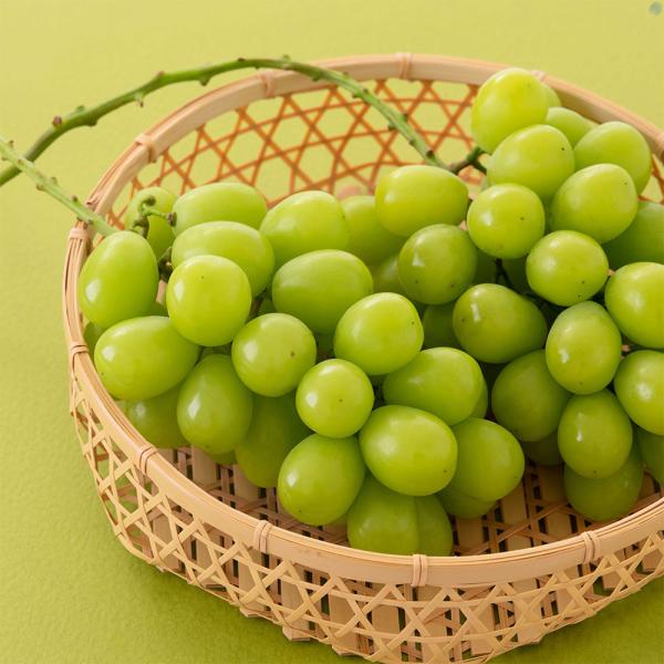山梨産 ワケありシャインマスカット 2房 計1kg【9月上旬-下旬お届け】 野菜 果物 フルーツ  ディノス ディノス dinos 人気 おしゃれ■全国ぶどう収穫量1位（※1）の山梨県からお届けします！山梨県でのぶどう栽培の歴史は古く、なん...