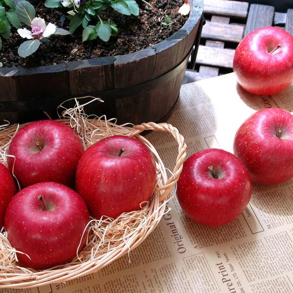 山形産 早生ふじ 3kg【9月下旬頃-お届け】 野菜 果物 フルーツ  ディノス ディノス dinos 人気 おしゃれ■一足早く味わえる秋のお楽しみ10月から味わえるふじりんごです。朝晩の寒暖差が大きい山形ならではの環境で育ち、バランスの良...