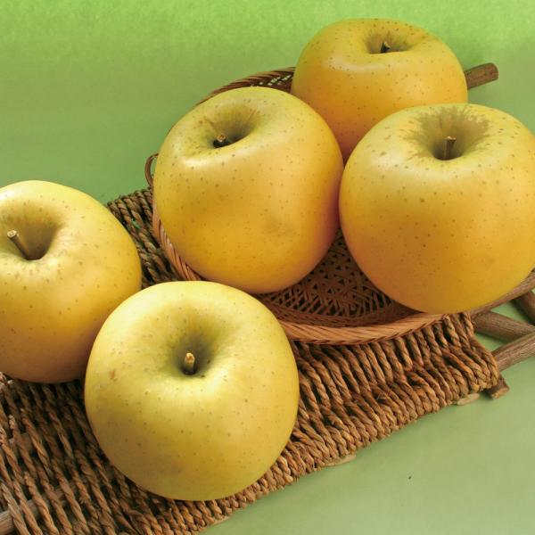 山形・朝日町産「シナノゴールド」 2kg【10月下旬頃-お届け】 野菜 果物 フルーツ  ディノス ディノス dinos 人気 おしゃれ■山形県朝日町からお届けする「シナノゴールド」山形県朝日町は「無袋ふじ」発祥の地として有名なりんごの名産...