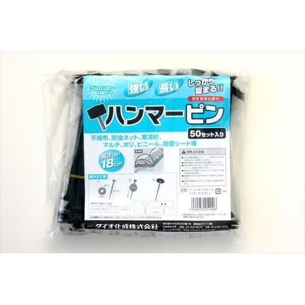 規格：５０セット入り　色   ：緑