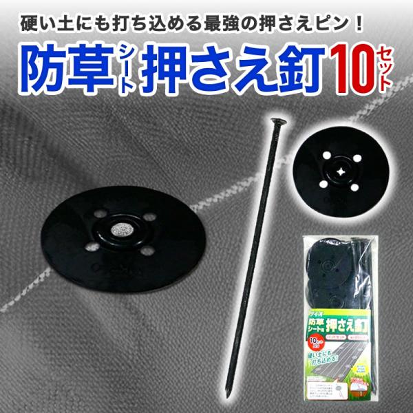 規格：10セット入り寸法：釘長さ20cm　　　直径約5mm　　　笠部分の直径約10mm　　　パット直径　約52mm色   ：黒（パット部分）