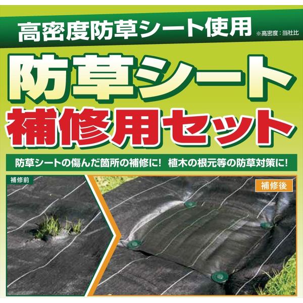 規格：防草用シート　黒　　　　1mx1m　1枚　　　　設置用ピン（長さ18cm）　緑　4本