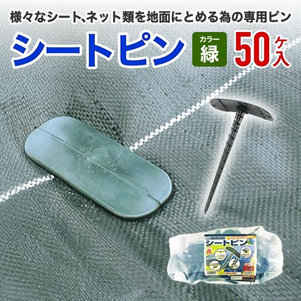 規格：５０ヶ入り　色   ：緑材質：ポリプロピレン