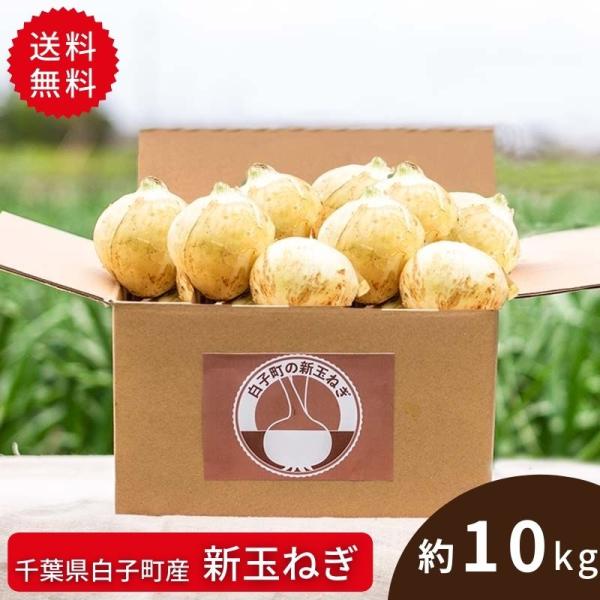 【送料無料】【公式】石井食品 白子町産 新玉ねぎ10kg（常温品）｜イシイ 千葉 旬の味 たまねぎ 玉葱 タマネギ 白子玉ねぎ 無添加調理 石井食品 イシイ食品 tb玉ねぎの特長九十九里浜のミネラル豊富な土と潮風に育まれた、みずみずしく甘い...