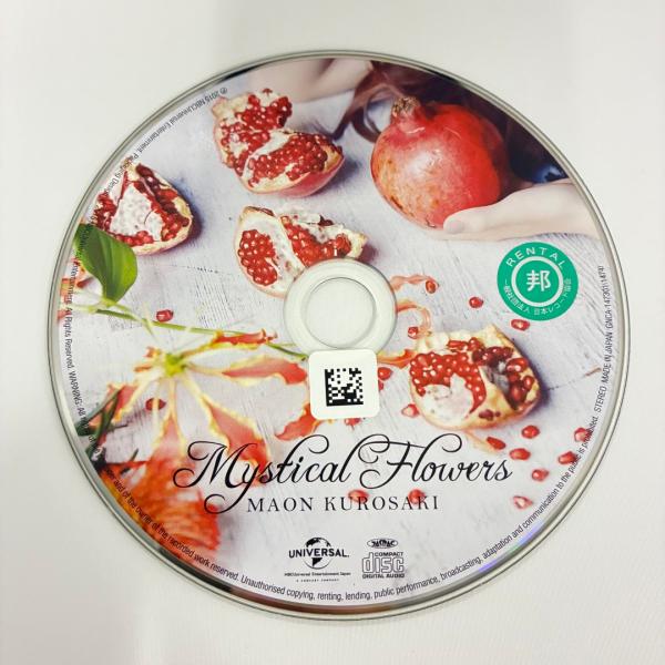 ※ディスクのみの販売となります。ジャケット・歌詞カードはございません。※再生確認済。原盤・正規品。オリジナルビニールケースに封入してお送りします。【収録曲】LIMIT BREAK刹那の果実The Nightmare Rock'n'Roll ...