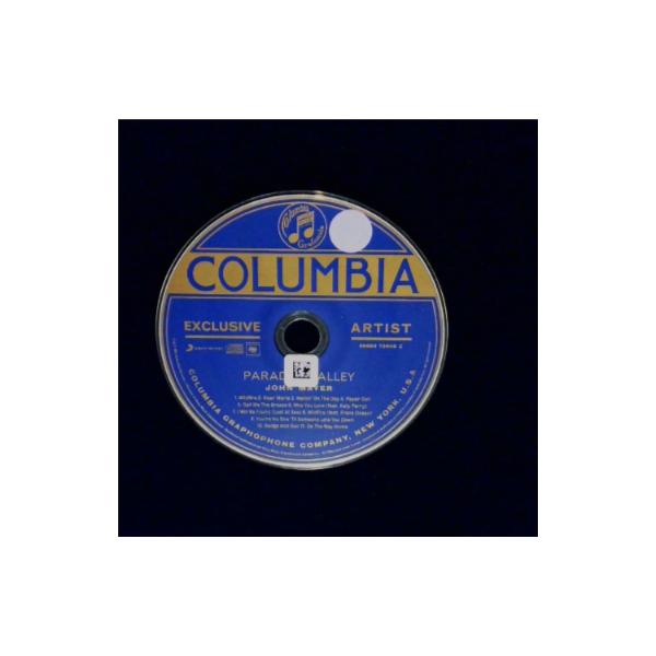 ※ディスクのみの販売となります。ジャケット・歌詞カードはございません。※再生確認済。原盤・正規品。オリジナルビニールケースに封入してお送りします。内省的な歌詞、情感溢れるメロディ、メロウ＆スモーキーなヴォーカル、同業者も絶賛するギタープレイ...