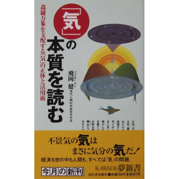 著者名:飛岡 健発行所:河出書房新社発行日:1998年11月1日初版サイズ:新書ISBNコード:9784309501604コンディション:少しのスレ汚れ等ありますが、本体は概ね良好です。