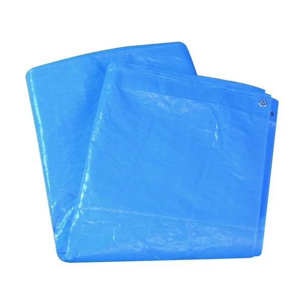 ■特徴 軽量、コスト重視のブルーシートです。  ■用途 建築、土木、農水産業他、野積み、養生等の多目的シートに。  ■材質 シート：ポリエチレン ハトメ：アルミニウム  ■注意点 表示サイズより5%程小さくなります。  【重量】 490g ...