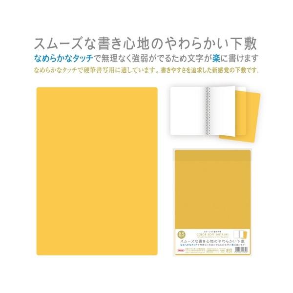 スムーズな書き心地のやわらかい下敷です。 ペンや鉛筆が吸い付く様に紙に馴染む。 なめらかなタッチで無理なく強弱を出すことができ文字を書きやすくします。 書きやすさを追求した新感覚の下敷、なめらかなタッチで硬筆書写用に適しています。 ペンや鉛...