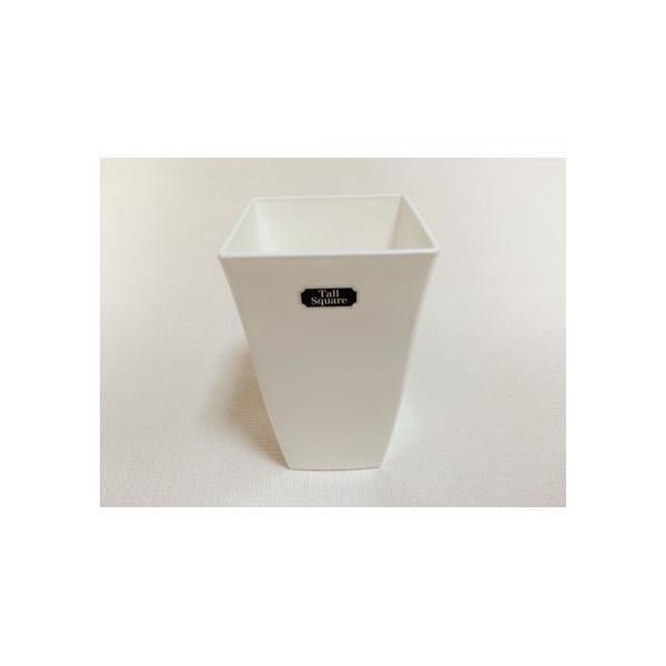 ・インテリアとしてのスタイリッシュなプラ鉢です。 ・高さのあるスリムな形状が放つ光沢のある質感は日差しの差し込む窓辺にぴったりです。 ・8号用 ・サイズ(cm):約18.5×18.5×305 園芸用支柱 ガーデニング用支柱 園芸用ポール  ...