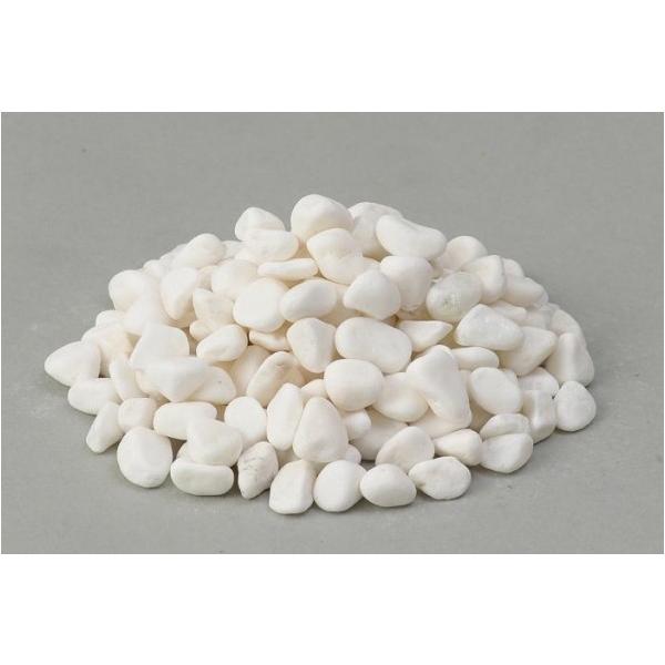 テラリウムや水槽のレイアウトに最適！  ●製造国:中国  【重量】 255 【入数】 1袋 47741