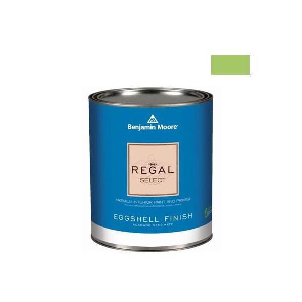 サイズ：1Lカラー：springhill greenQ319412