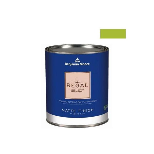 サイズ：1Lカラー：tequila limeQ221202830