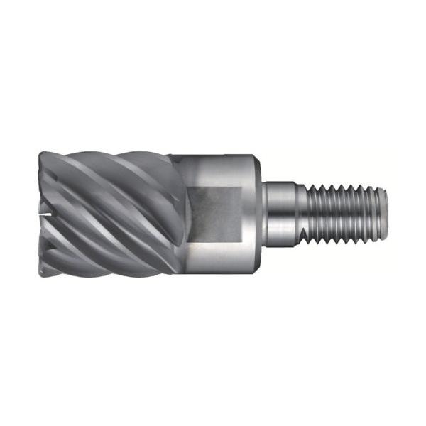 商品画像はイメージ画像です。実際とは異なる場合がございます。 ■特徴 オール超硬シャンクアーバ『頑固一徹』用、オール超硬・ラジアスタイプモジュラーヘッドです。 一般鋼からステンレス鋼、耐熱合金・チタン合金の高速・高能率加工まで対応しています...