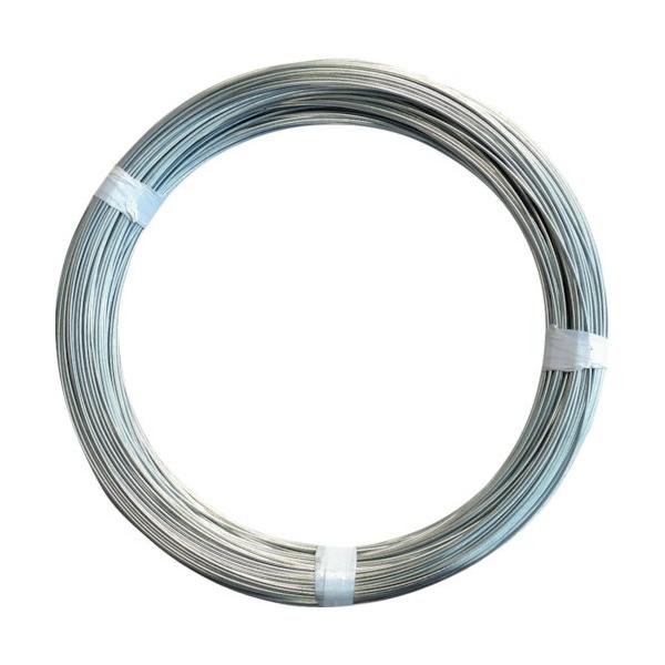 ■特徴 鉄線にメッキをしたベーシックな針金です。 多く使われる方用にお得な5kg巻きです。 なまし鉄線に溶融亜鉛メッキ（どぶメッキ）をほどこしています。   ■用途 建築・園芸・農業・さまざまな結束に。  ■材質 スチール（溶融亜鉛メッキ）...