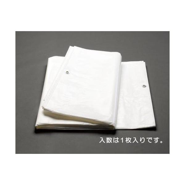 ●番手…3000番(＃3000) ●サイズ…3.6×5.4m ●厚み…0.25mm ●ハトメサイズ…内径:φ12mm、外径:φ23mm ●重量…3kg ●材質…シート:ポリエチレン、ハトメ:アルミ ●引張強度…縦:605N/cm、横:555...