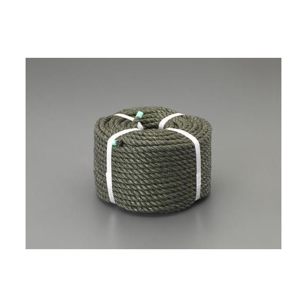 ●材質…ポリエステル ●構造…三つ打ち ●サイズ…φ12mm ●全長…100m ●破断荷重(kg)…1200   【入数】 1 EA628TP12