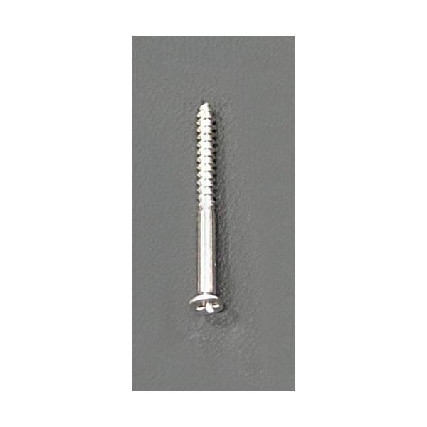 ●サイズ(mm)…2.0×19 ●入数…700本 ●材質…キルド鋼(焼入れ処理・ニッケルメッキ) ●(＋)皿頭 ●木製ラック、木製パネル貼りなどの木工造作や金物の取付に。 ●堅い木材でもねじ込み時の折れや曲り等が少ないです。 ●ドライバーは...