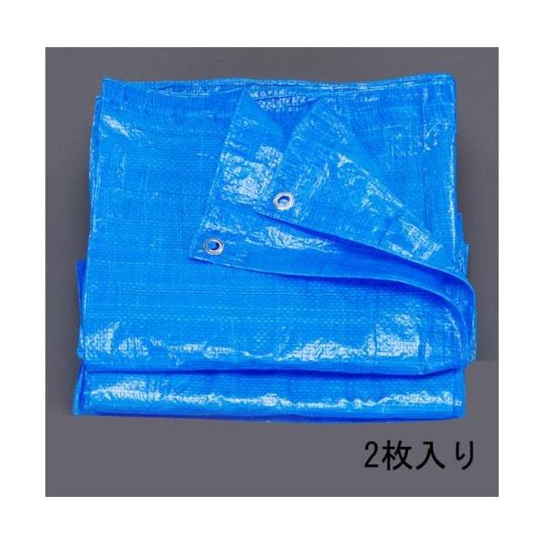●入数は2枚入りになります。 ●養生や目隠し、雨・風からの保護に ●材質:ポリエチレン ●ハトメ付 ●厚み:約0.06mm ●薄手タイプ(番手なし) ●サイズ(m):10×10 ●入数:2枚   【サイズ】 10m×10m 【入数】 2枚 ...