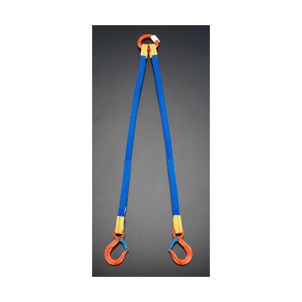●使用荷重（t）40°…1.86 ●使用荷重（t）60°…1.72 ●有効長さ(m)…2.5 ●フック口開き…33mm ●材質…スリング:ナイロン、フック:鉄鋳物 ●2本吊   【入数】 1 EA981FD24A