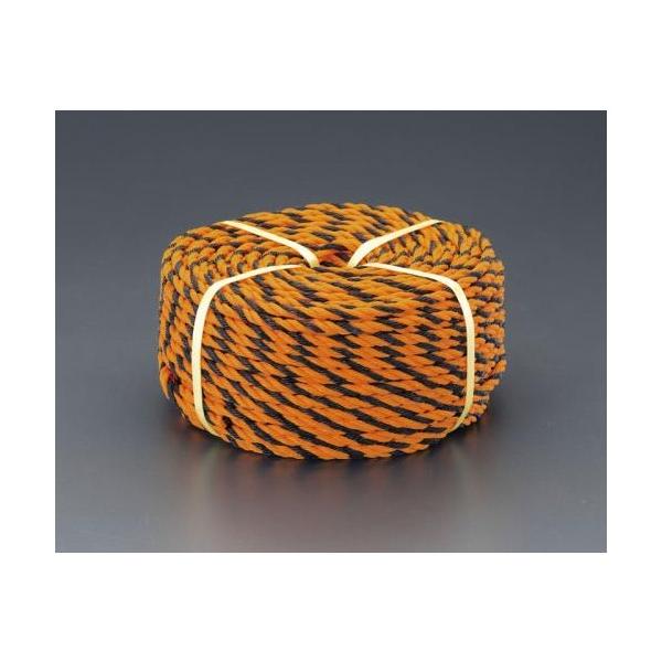 ●材質…ポリエチレン ●全長…100m ●重量…4kg ●線径（呼び）…12mm   【サイズ】 12mm×100m 【入数】 1 EA983DR12