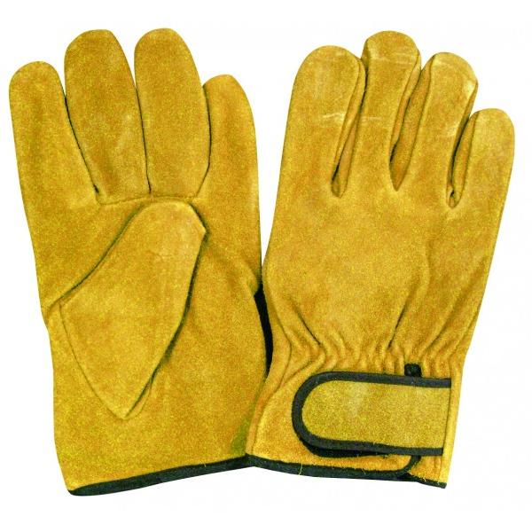 【入数】 1個 #1556