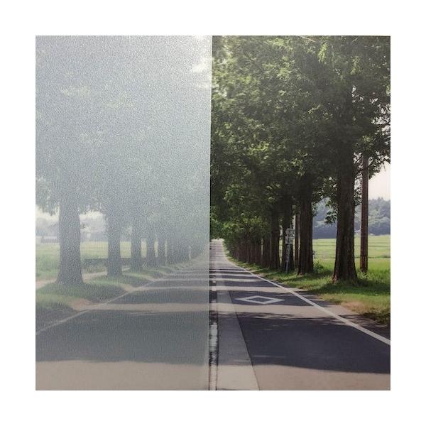 ■特徴 透過率の違いによるバリエーションが豊富にあり、ガラスの向こう側の透過具合の調整が可能です。 有害な紫外線を99％以上ブロックすることができるので、日焼け対策が可能です。 また、万が一の災害時にガラスの飛散を防ぐ飛散防止性能もあり、安...