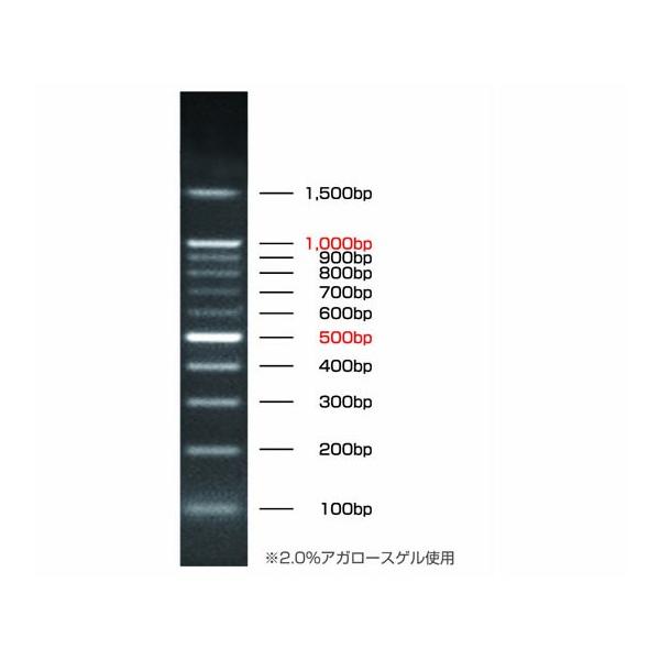 ●分子サイズをシークエンス確認済みの正確なDNAラダーマーカーです。 ●BPB・Xylene Cyanol入りなので、すぐに電気泳動できます。 ●容量:500μL(100回分) ●レンジ:100〜1500bp ●バンド数:11 ●保存:常温...