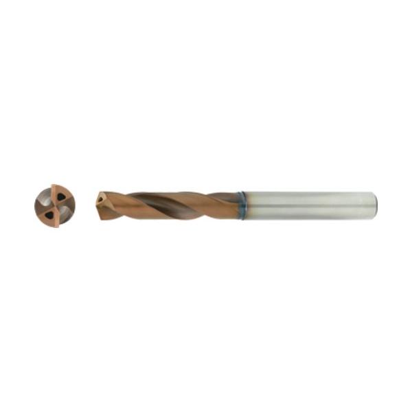 ■仕様 内部給油形耐熱合金    【重量】 48G 【原産国】 日本製 DSAS0695X05S080DP9020
