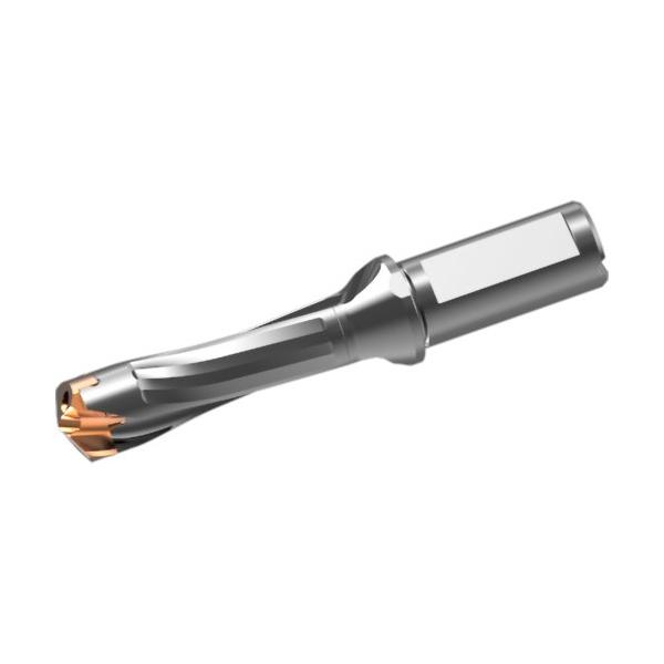 ■特徴 大幅な長寿命化を実現し、ランニングコストを大幅に低減します。 ソリッドドリルに匹敵する高精度・高能率加工を実現しました。 直感的な取付け操作で高強度な締結システムです。    【重量】 423G 【原産国】 000 DXAS2400...