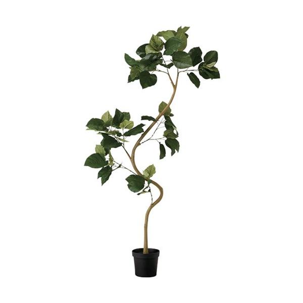 ■仕様 葉:再生PE樹脂、幹:樹脂成型品、プランター:再生PP樹脂、ツイストウンベラータ ■注意 プランターポットは付属されておりません。 専用ポット(PTN004-W)、または人工樹木鉢サイズに合うプランターポットを必ず手配してください。...