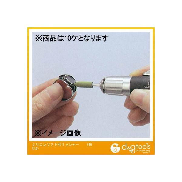 【入数】 10ケ