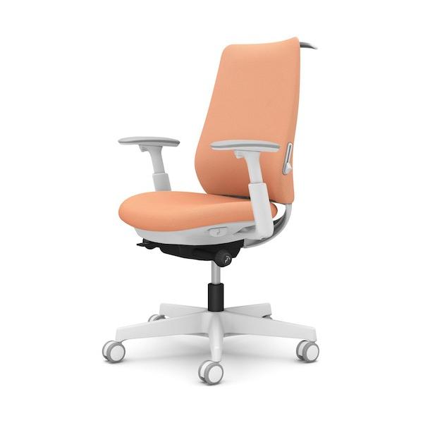 ■特徴 シンクロリクライニング固定/解除:リクライニングの固定と解除が行えます。（リクライニング角度20°） 座面奥行き調節:座面の奥行き調節が可能です。（ストローク:40mm） 座面高さ調節:座面の上下高さ調節が行えます。（ストローク:9...