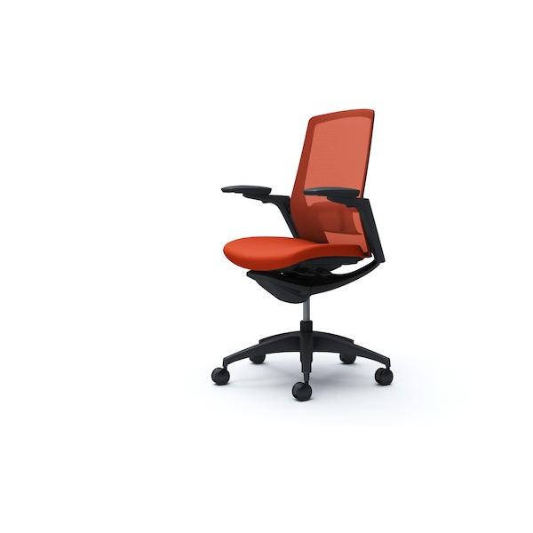 ■仕様 フィノラチェア   ハイバック 座クッション                      【カラー】 ブラックＢ 【重量】 23KG 【入数】 1点 【原産国】 000 C787MSF1H8