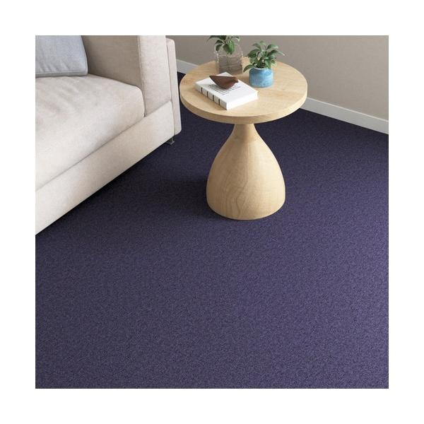 ■特徴 弾力性のあるループパイルタイプのカーペットです。 ■用途 事務所や休憩所に。 ■仕様 遊び毛が出にくい、防汚加工、防ダニ抗菌加工、制電加工、防炎加工、重歩行用、オーバーロック加工可能 価格は1平米の目安です。 ■材質 ナイロン   ...