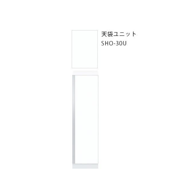 吊元:左 ●仕 様: 天 板: 片面化粧パーティクルボード 15t 左 側 板: 両面化粧パ-ティクルボ-ド 12t 見 上 板: 低圧メラミン化粧パーティクルボード 15t 背 板: カラーMDF・落とし込み 扉: 両面化粧パ-ティクルボ...