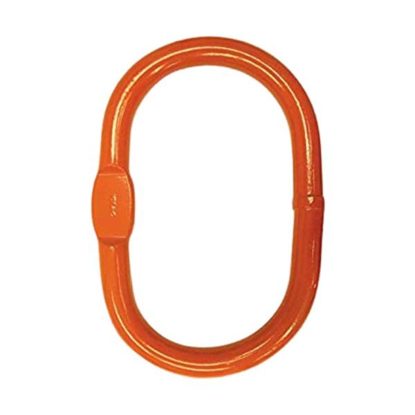 ■特徴 2本吊りでは適合チェーンはありません。 内径が大きく、太いサイズのフックに適用できます。    【重量】 1KG 【入数】 1個 【原産国】 AT 035ZPM8W16