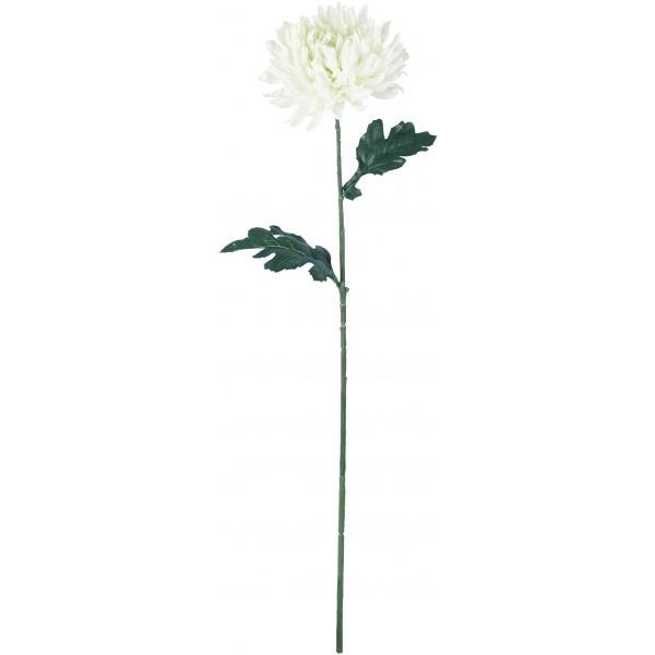 全長59cm・花径12cm  【入数】 1本 FA7199CR