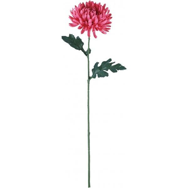 全長59cm・花径12cm  【入数】 1本 FA7199DP