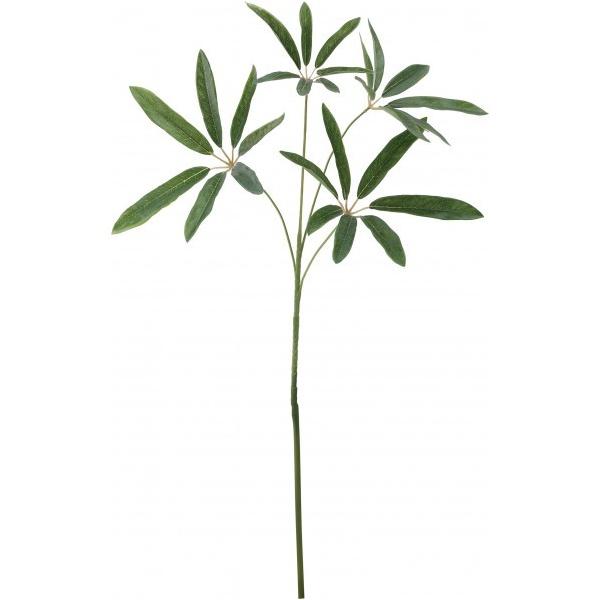 全長62cm・幅28cm  【入数】 1本 FG5112GR