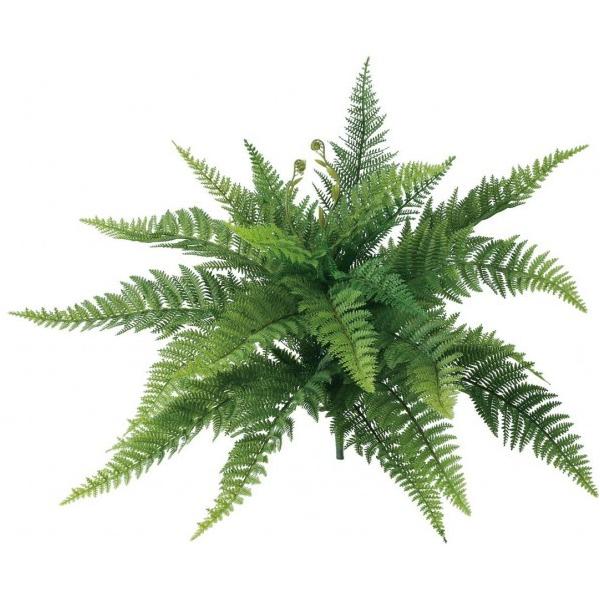 全長40cm・幅57cm  【入数】 1本 GL5255GR