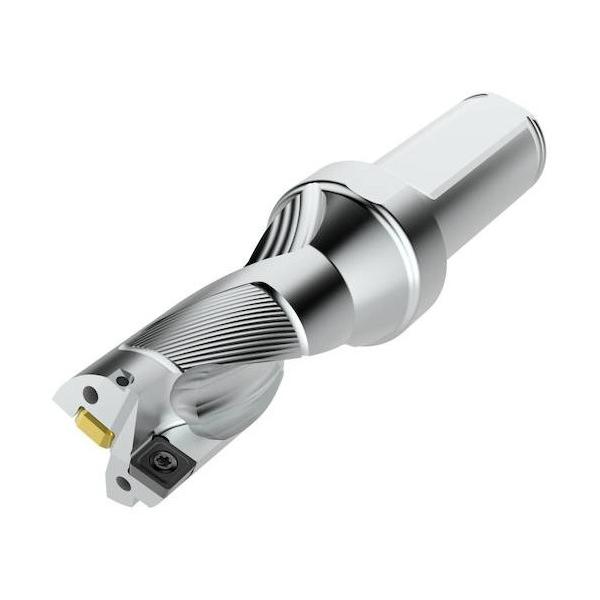 (特長)  ●Perfomax は長年にわたって定評あるスローアウェイ式ドリルで、高い生産性で穴加工が可能な経済性の高いソリューションです。   【重量】 0.25KG 【入数】 1個 03080740