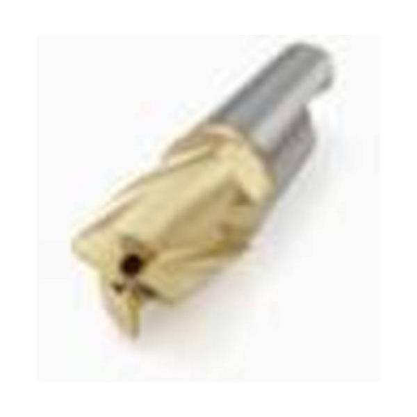 ■特徴 Minimasterは、さまざまなヘッド形状と組み合わせることができる汎用性の高いエンドミルシステムです。    【原産国】 000 MM1620015R20A30D06F30M